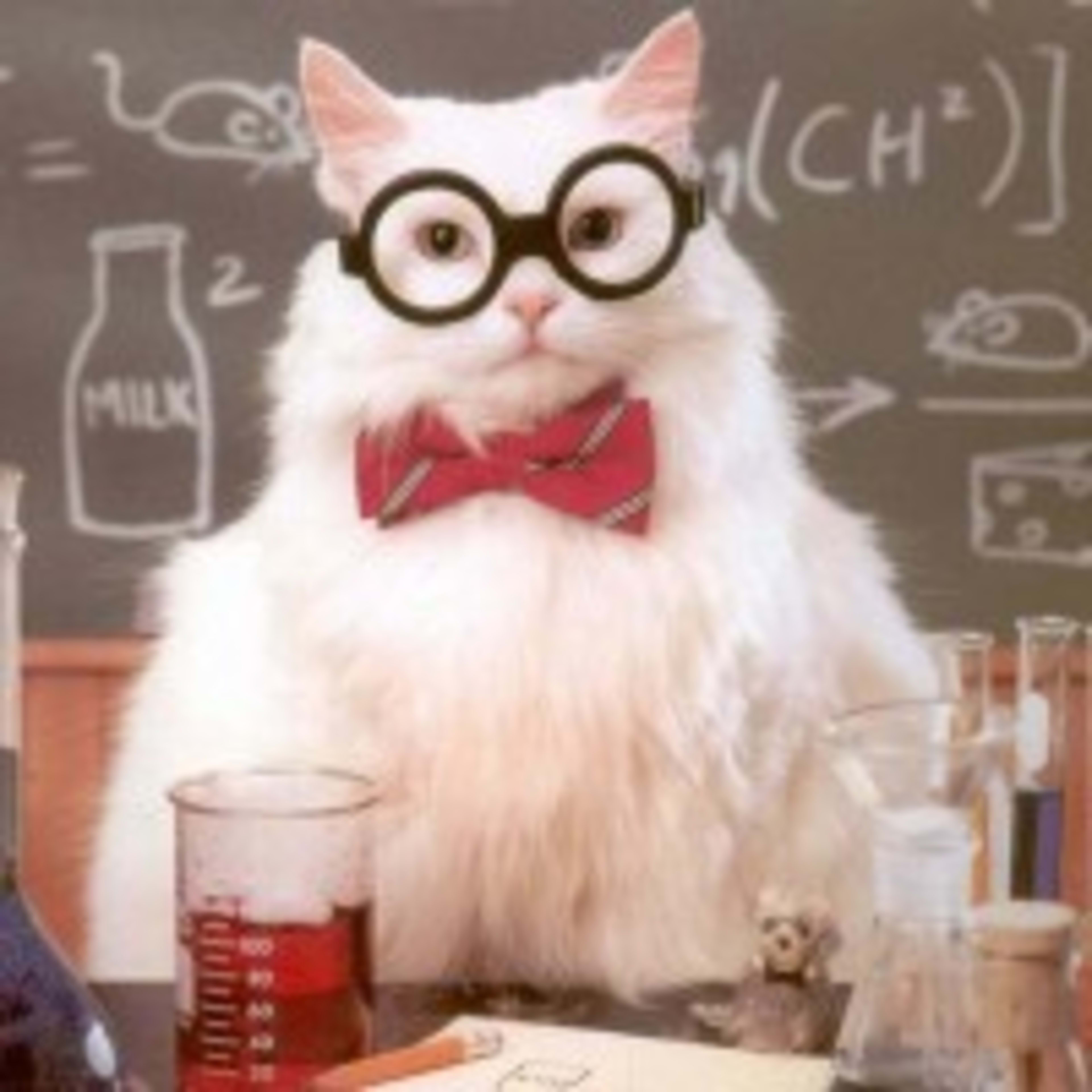 Top 10 Science Experiments to Try at Home - Owlcation