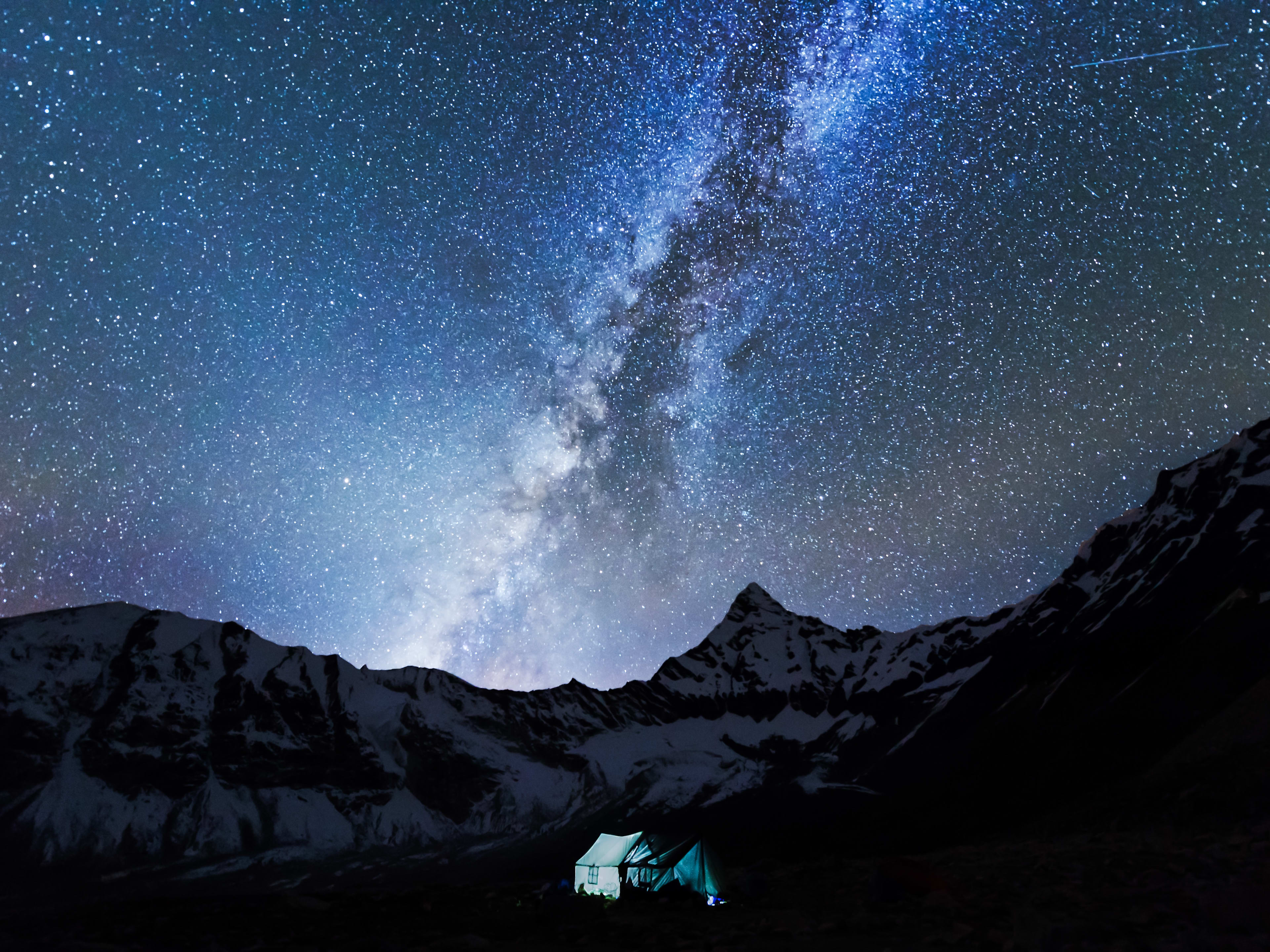 Curiosities - Owlcation