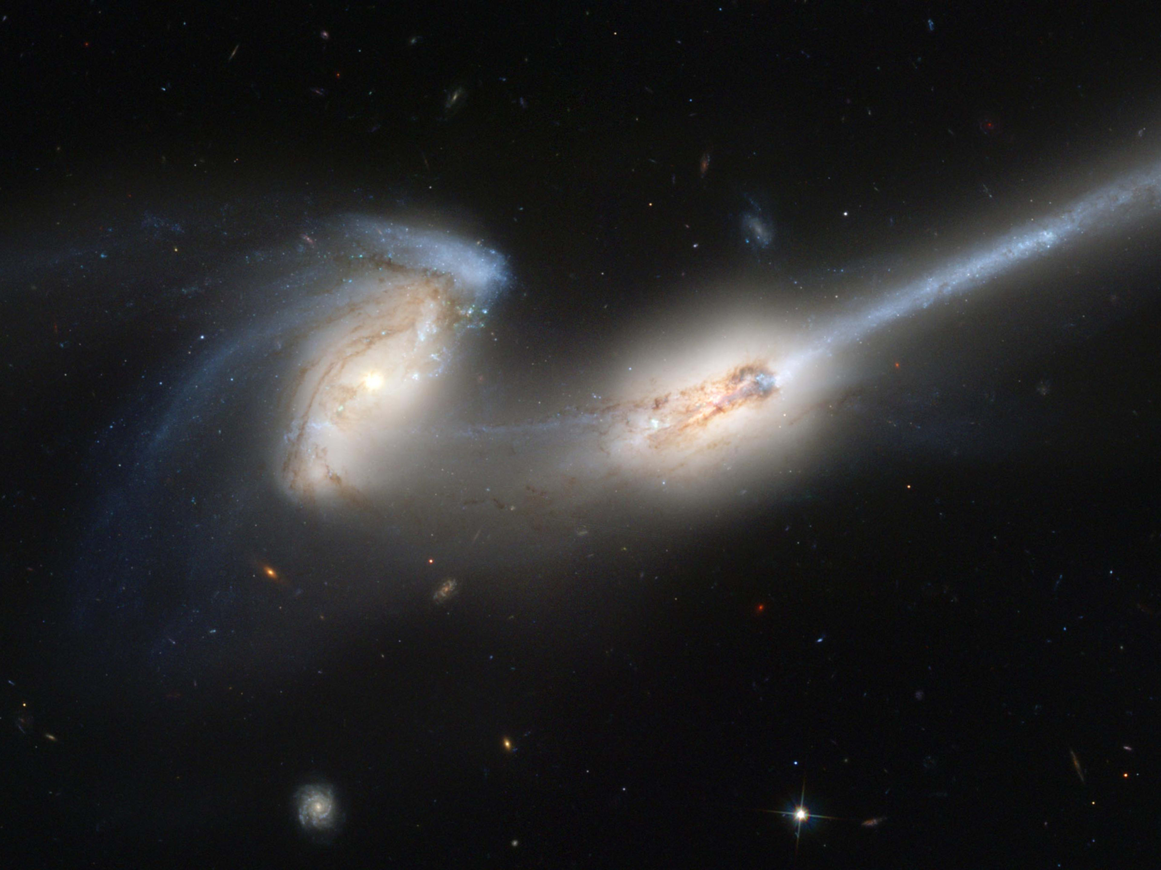 Curiosities - Owlcation