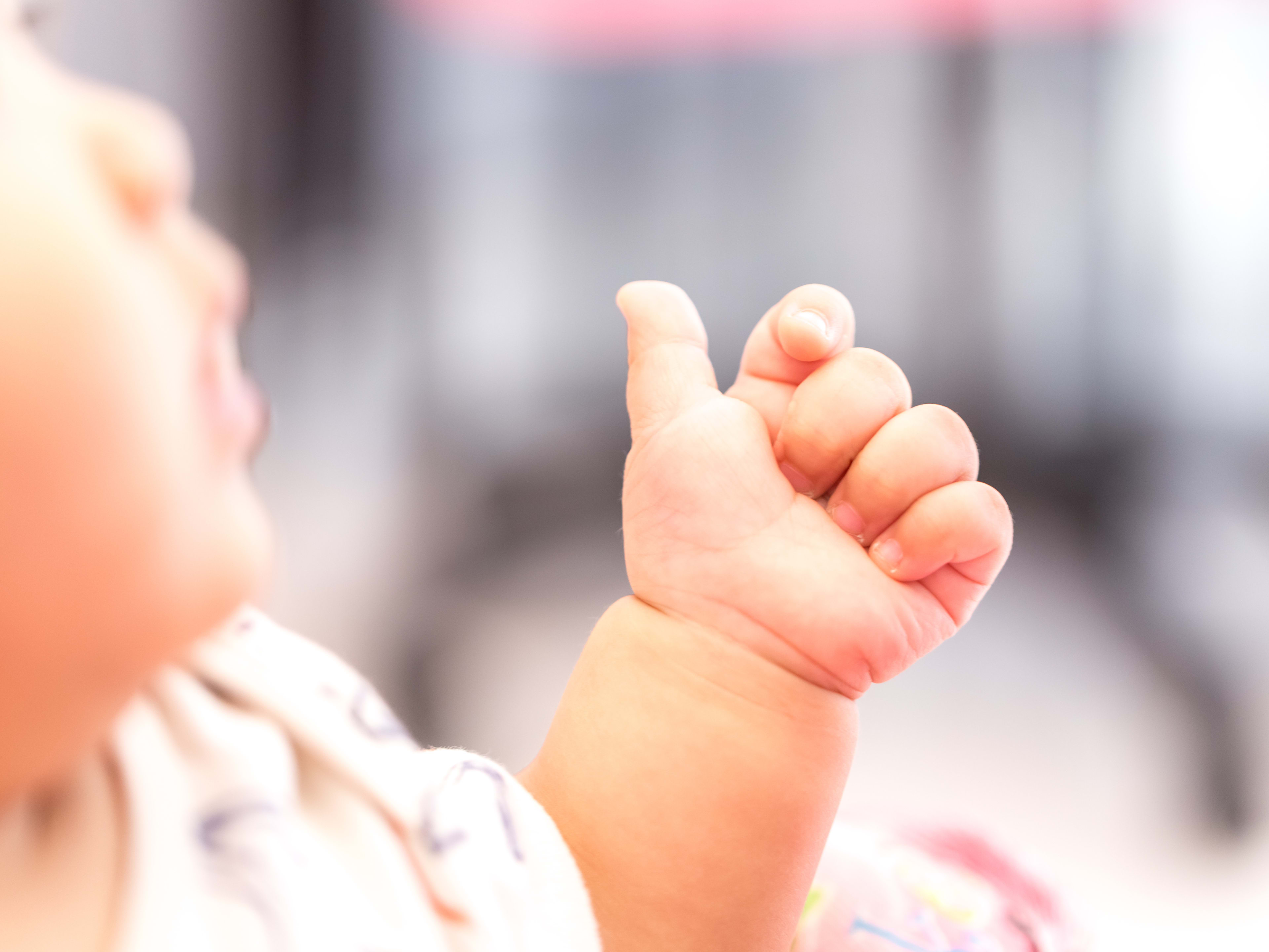 Siblings - Owlcation