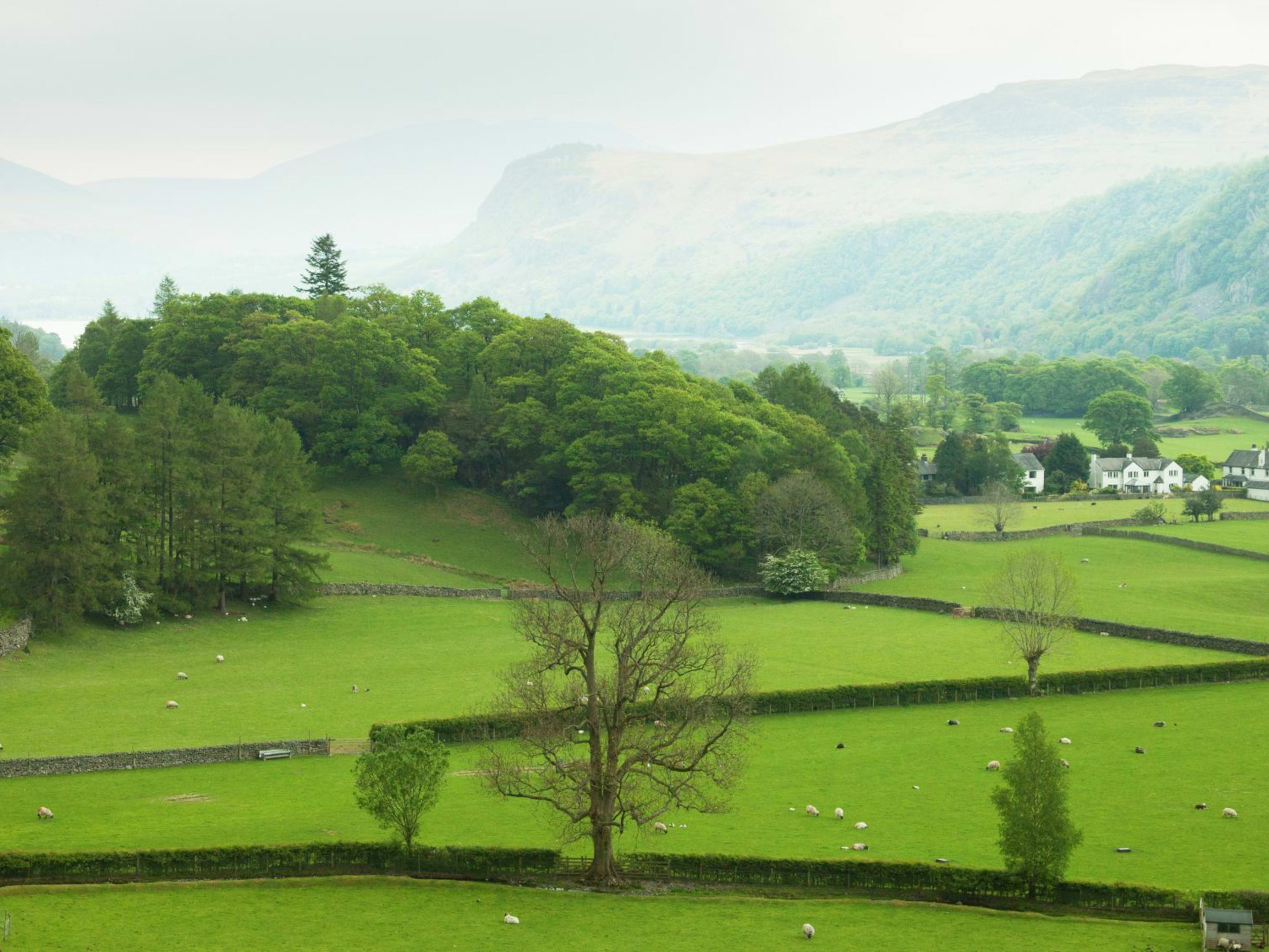 Literature - Owlcation