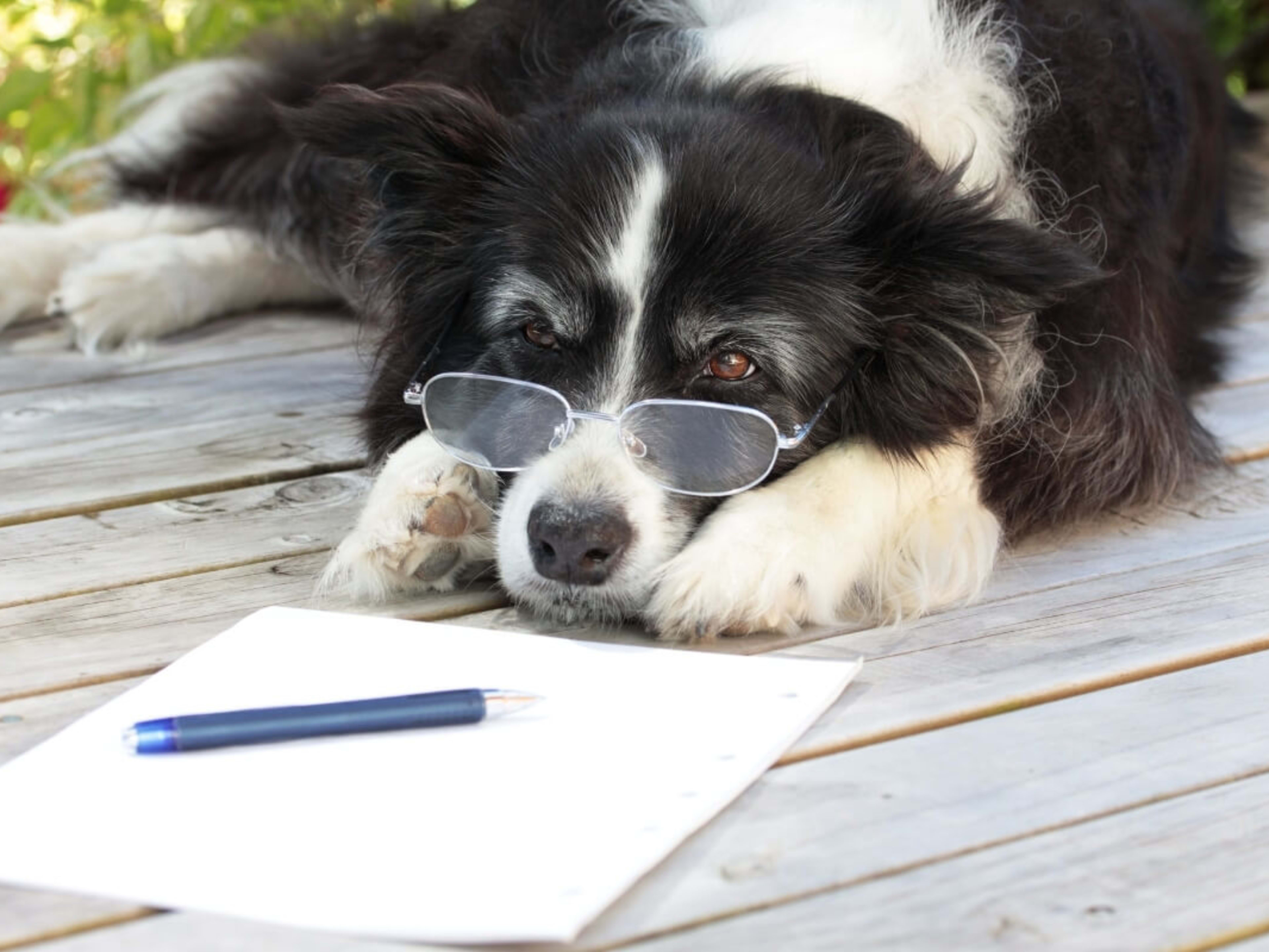 Curiosities - Owlcation