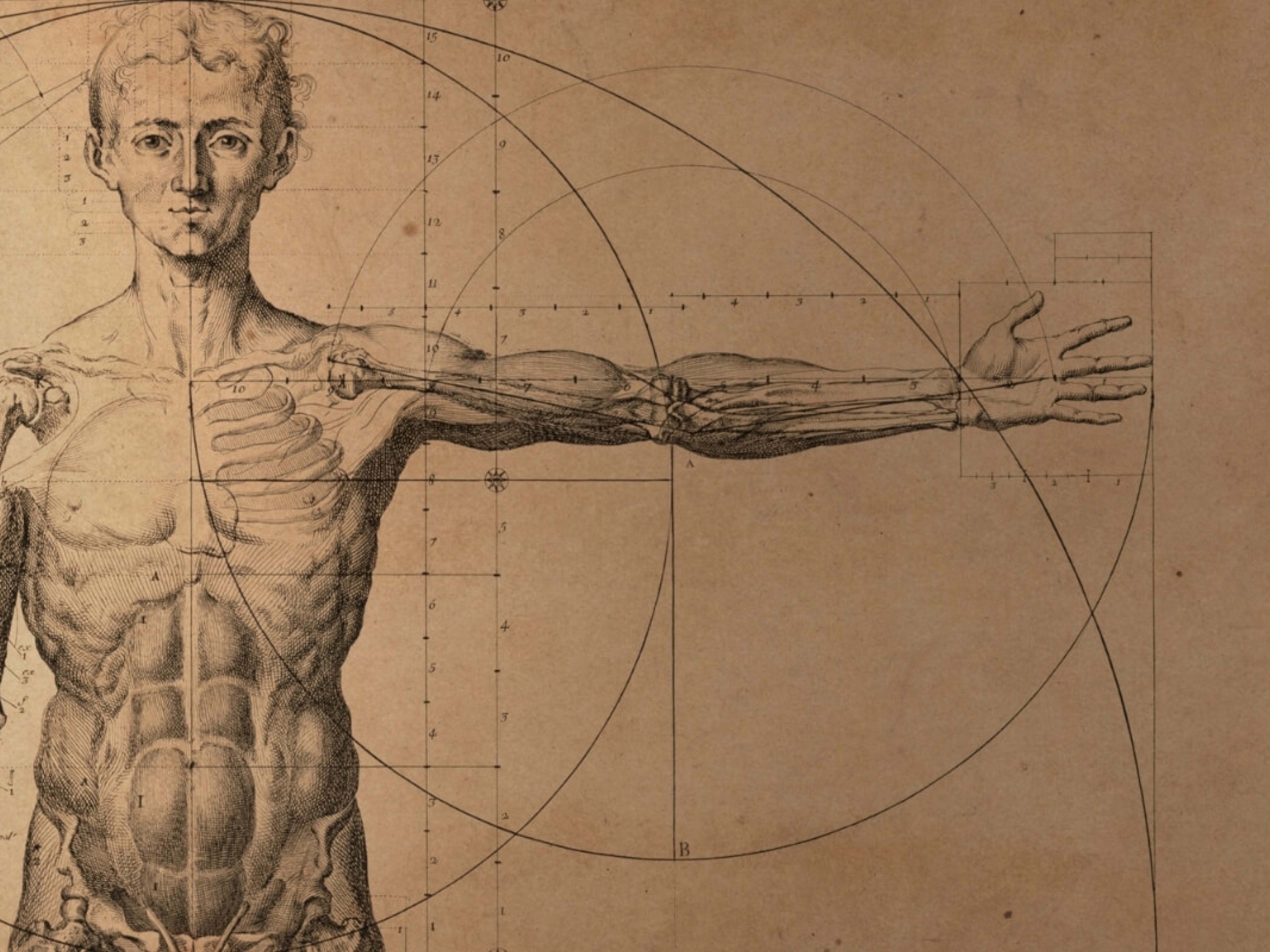 Academia - Owlcation