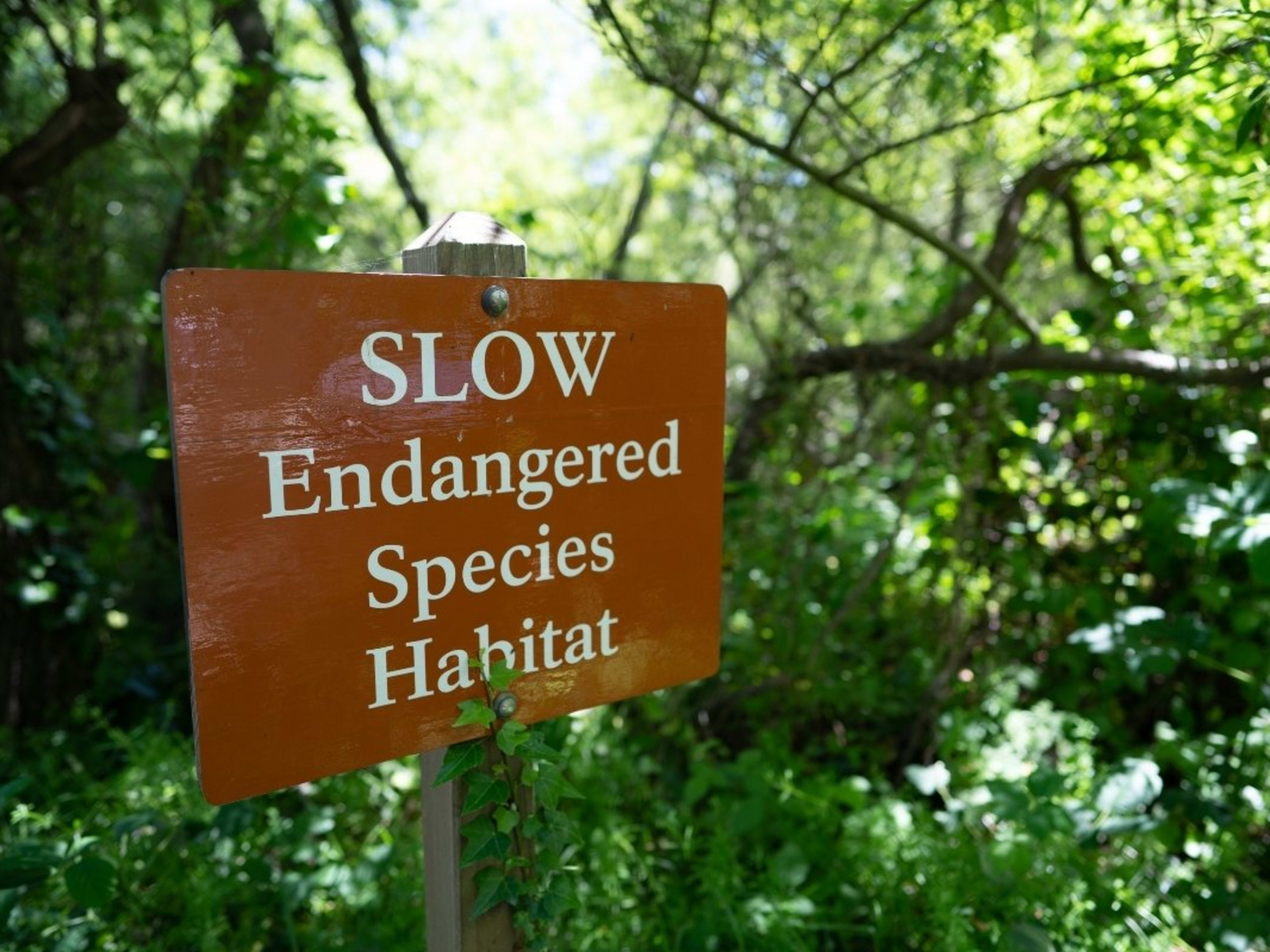 Articles by The Owlcation Editors - Owlcation