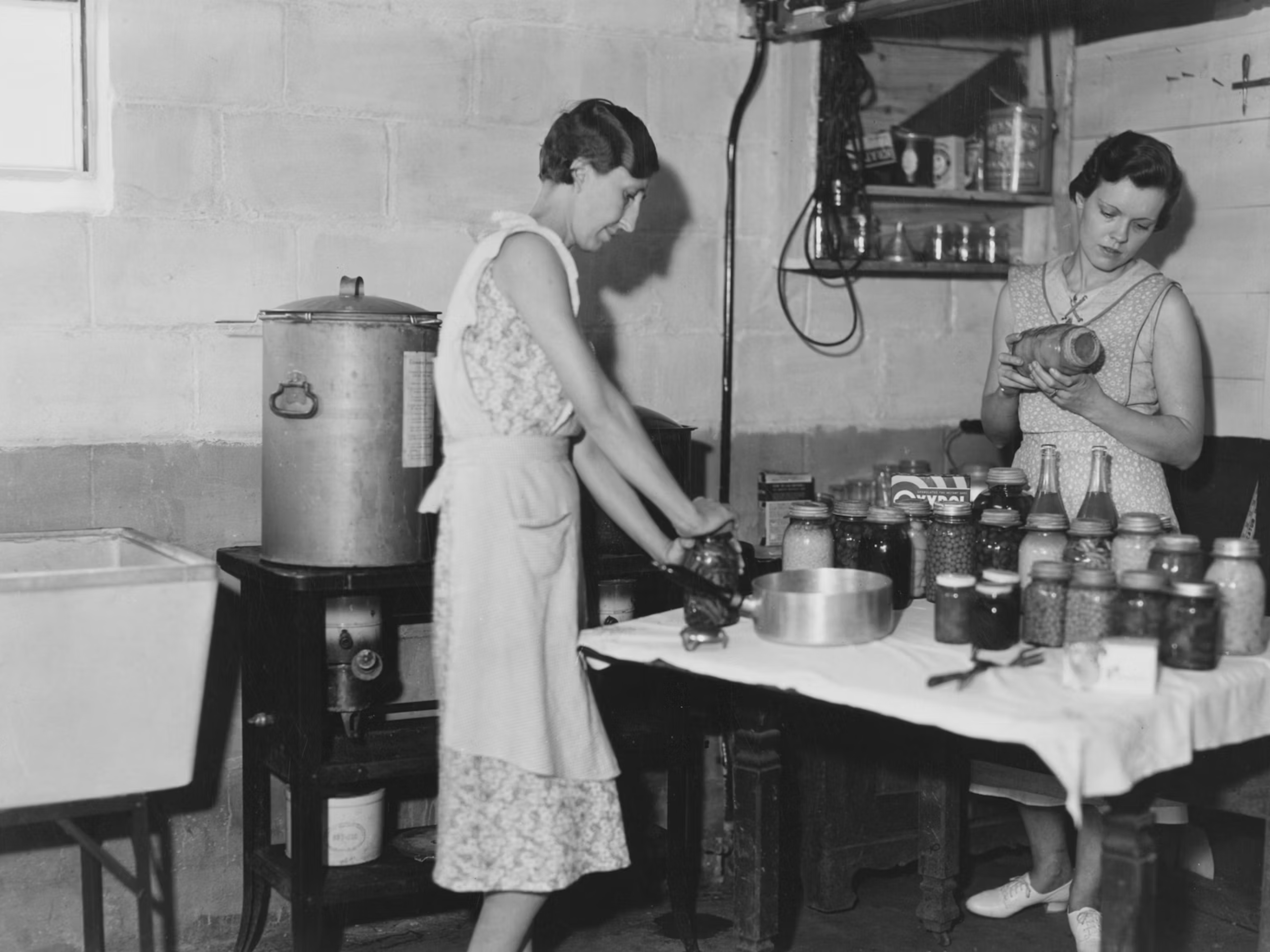 Articles by Kevin Williams - Owlcation