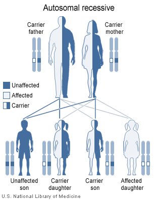 The Heterozygote Advantage: Examples of Disease-Causing Genes That Give ...