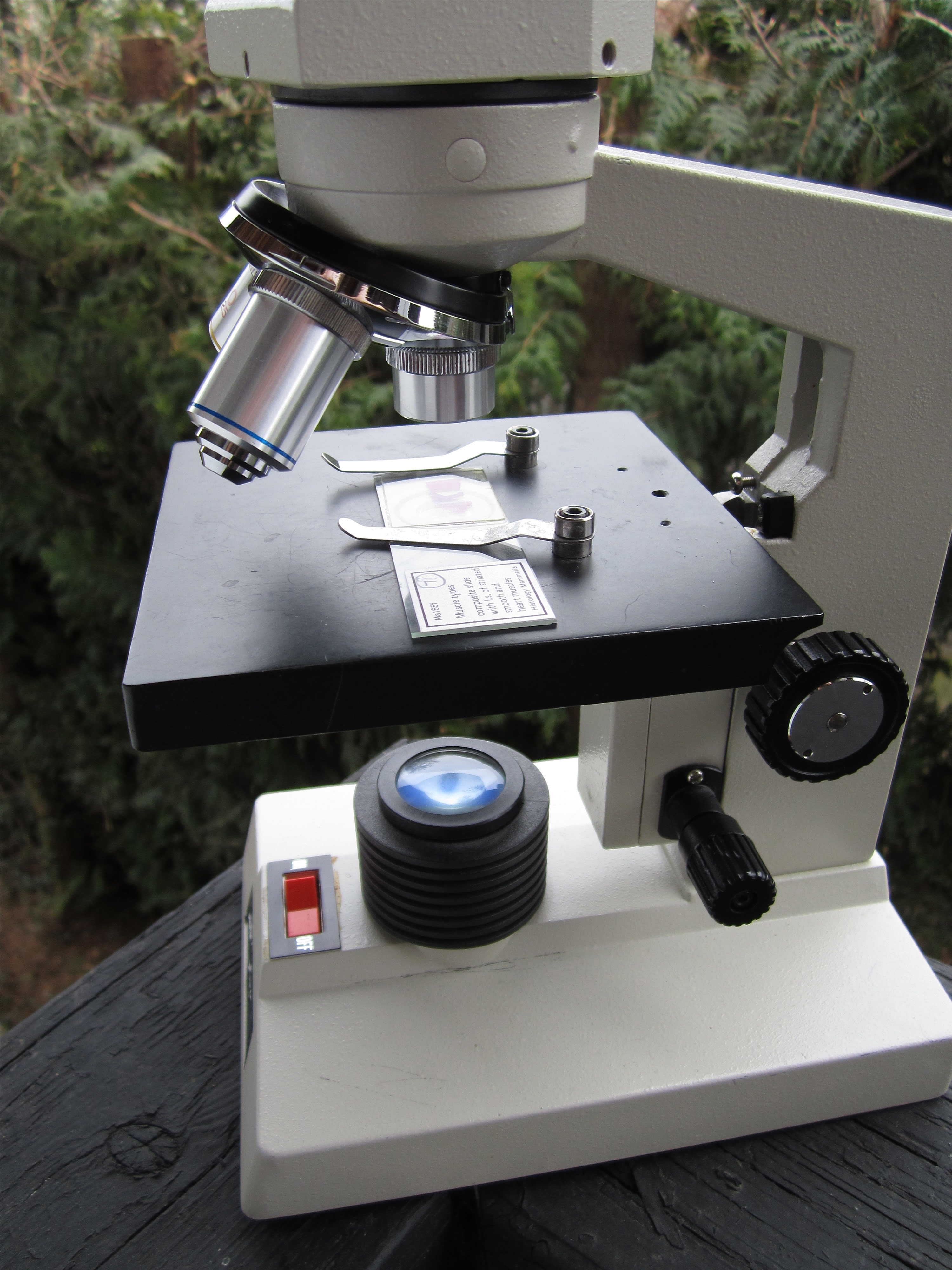 How to Study Biology: Tips From a High School Teacher - Owlcation