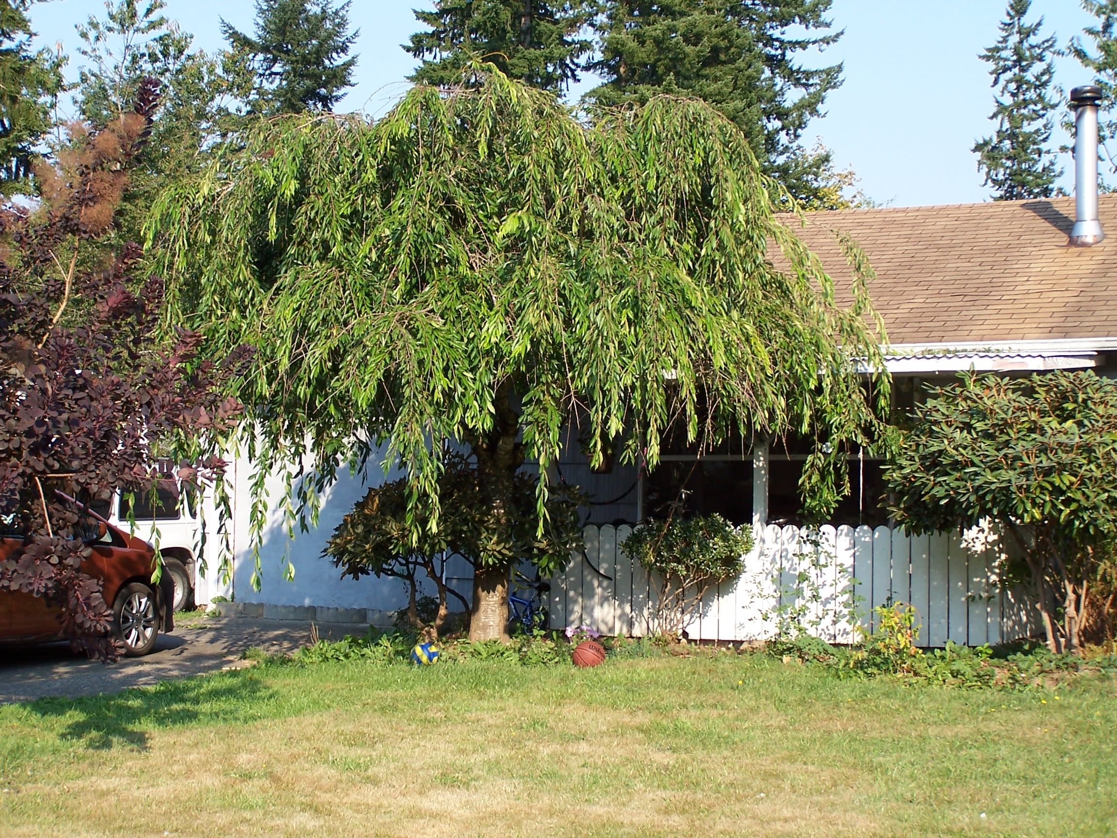 10 Tips for Better Column Writing and Article Writing - Owlcation