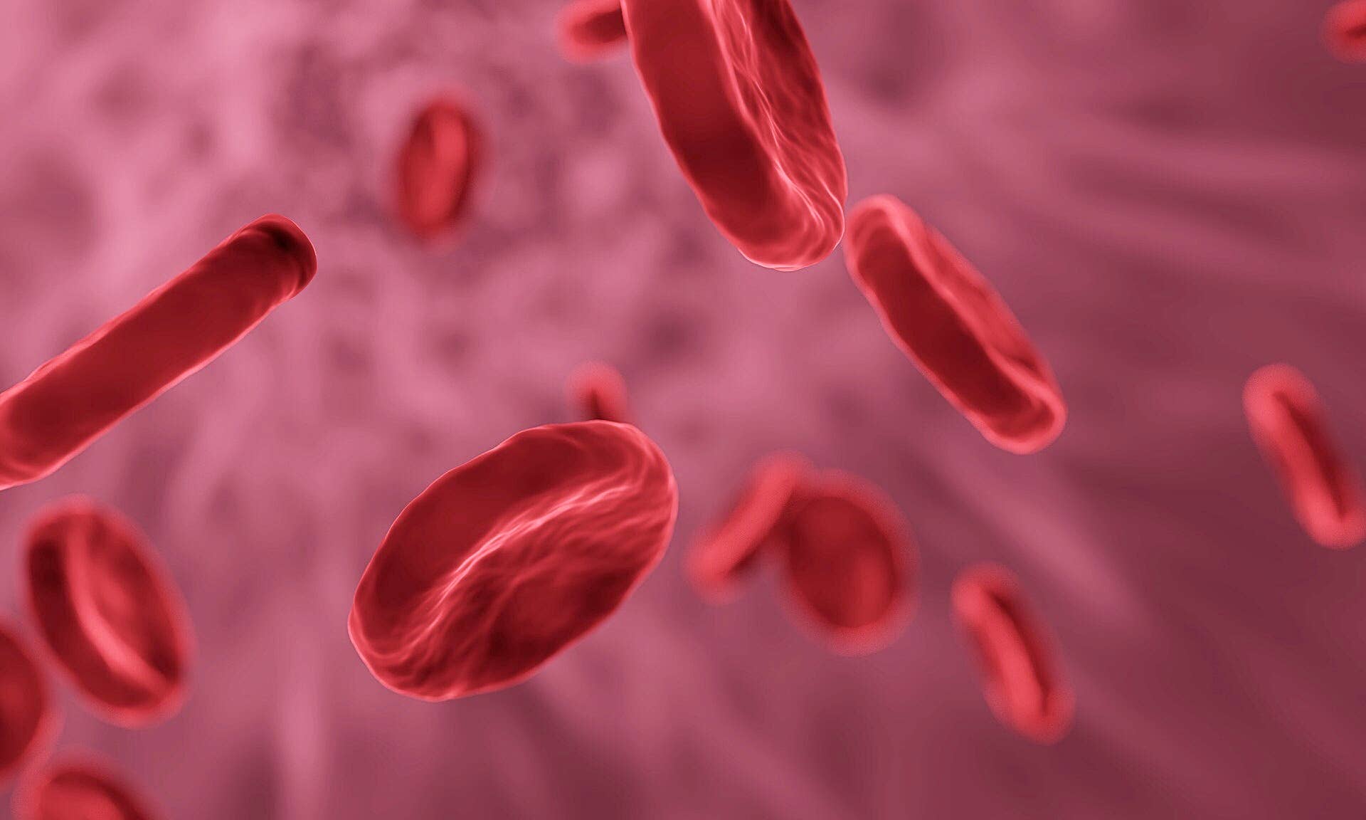 Blood Color in Humans and Animals: Pigments and Body Facts - Owlcation