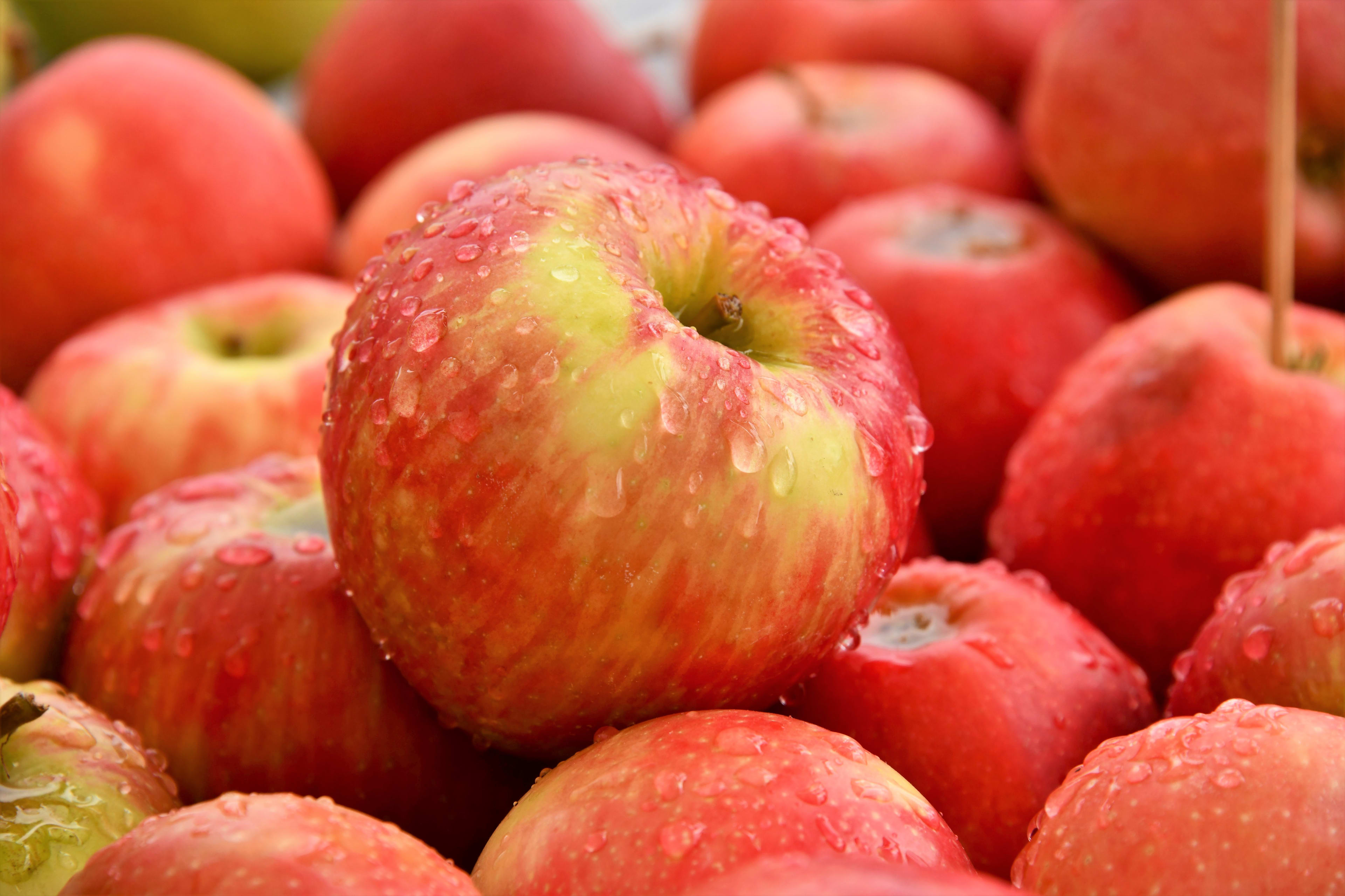 Formic Acid Facts, Dangers, and Uses in Nature and in Humans - Owlcation