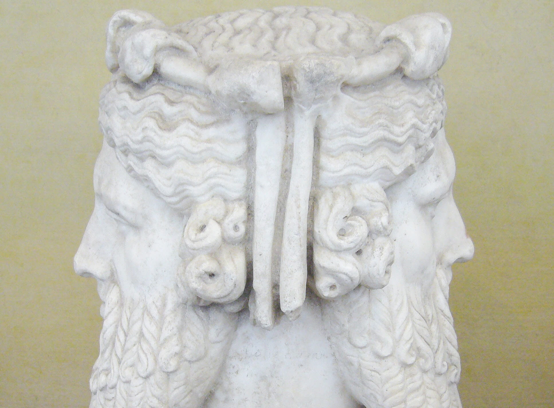 Janus Cats With Two Faces: Craniofacial Duplication Facts - Owlcation