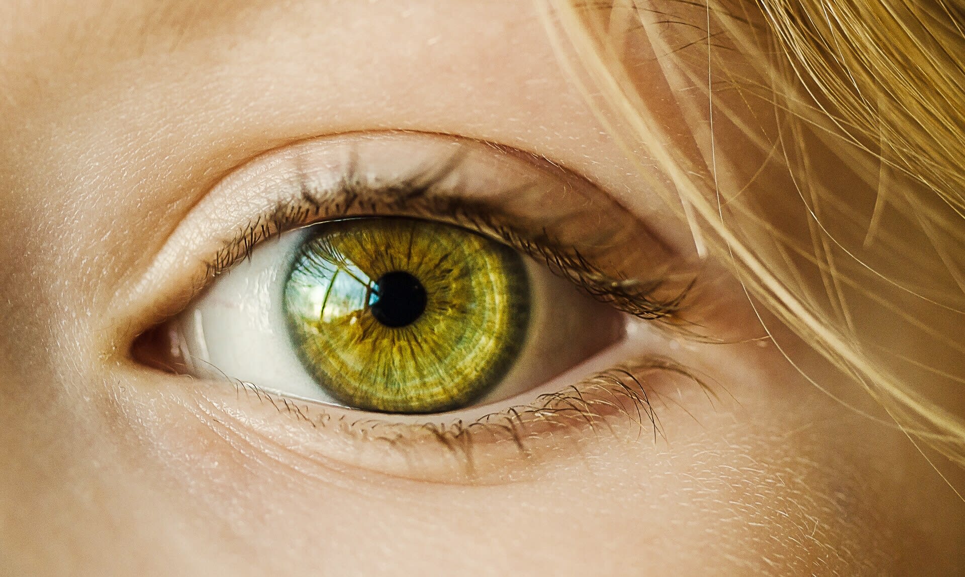 Glaucoma: Eye Biology, Nerve Damage, and Research Facts - Owlcation