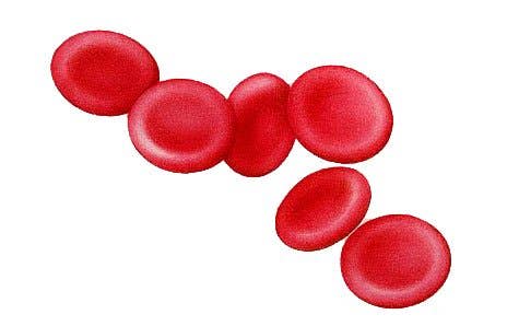 15 Bible Verses on Blood: Christian Interpretations and More - Owlcation