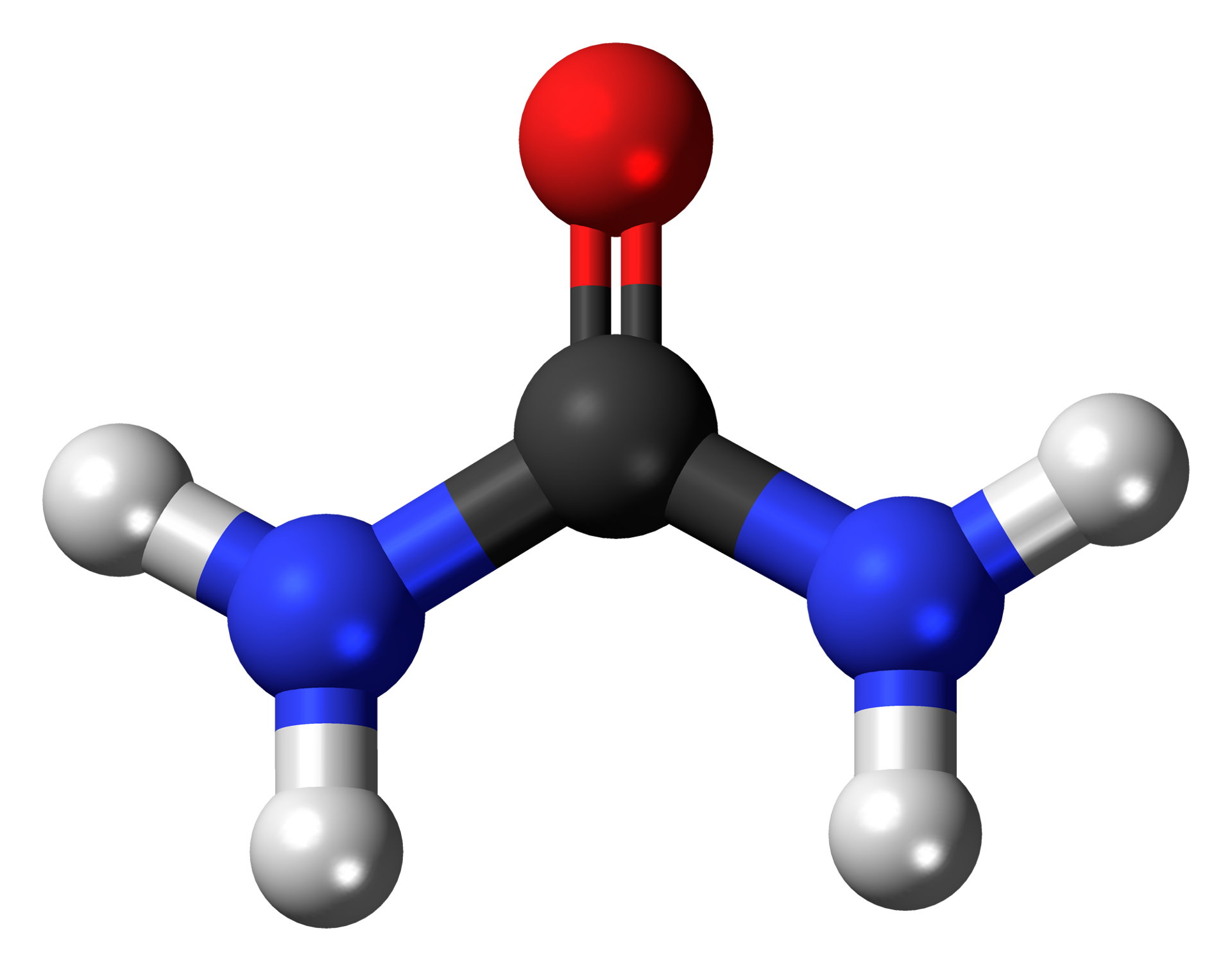 Facts About Urea in Blood, Urine, Skin Creams, and Fertilizer - Owlcation