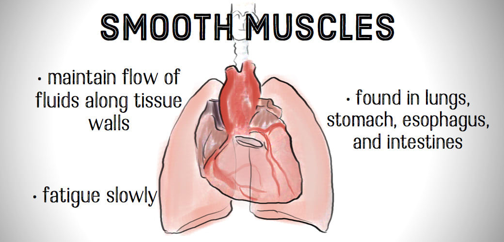 smooth muscle problems
