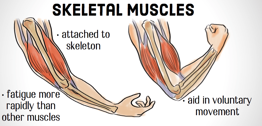 smooth muscle problems