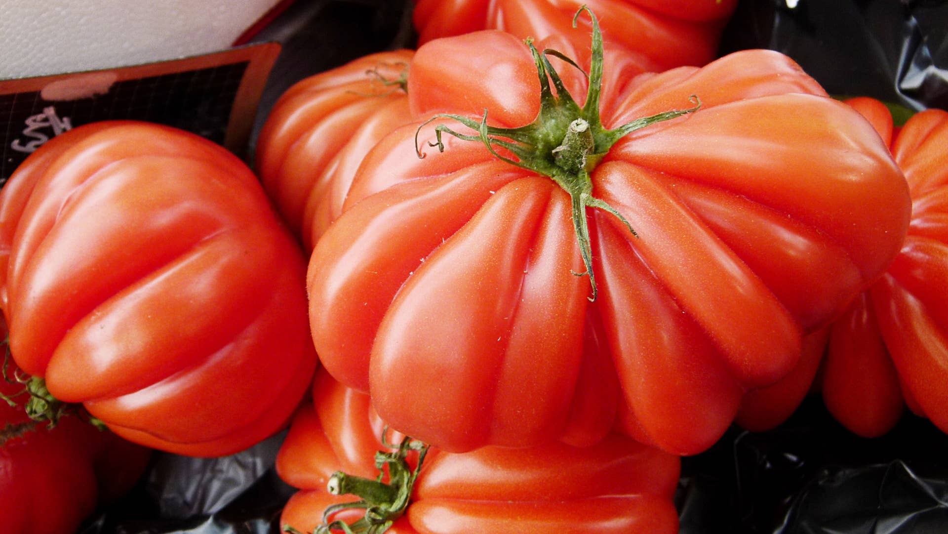 Tomato Plant Facts, History, and Improved Flavor - Owlcation