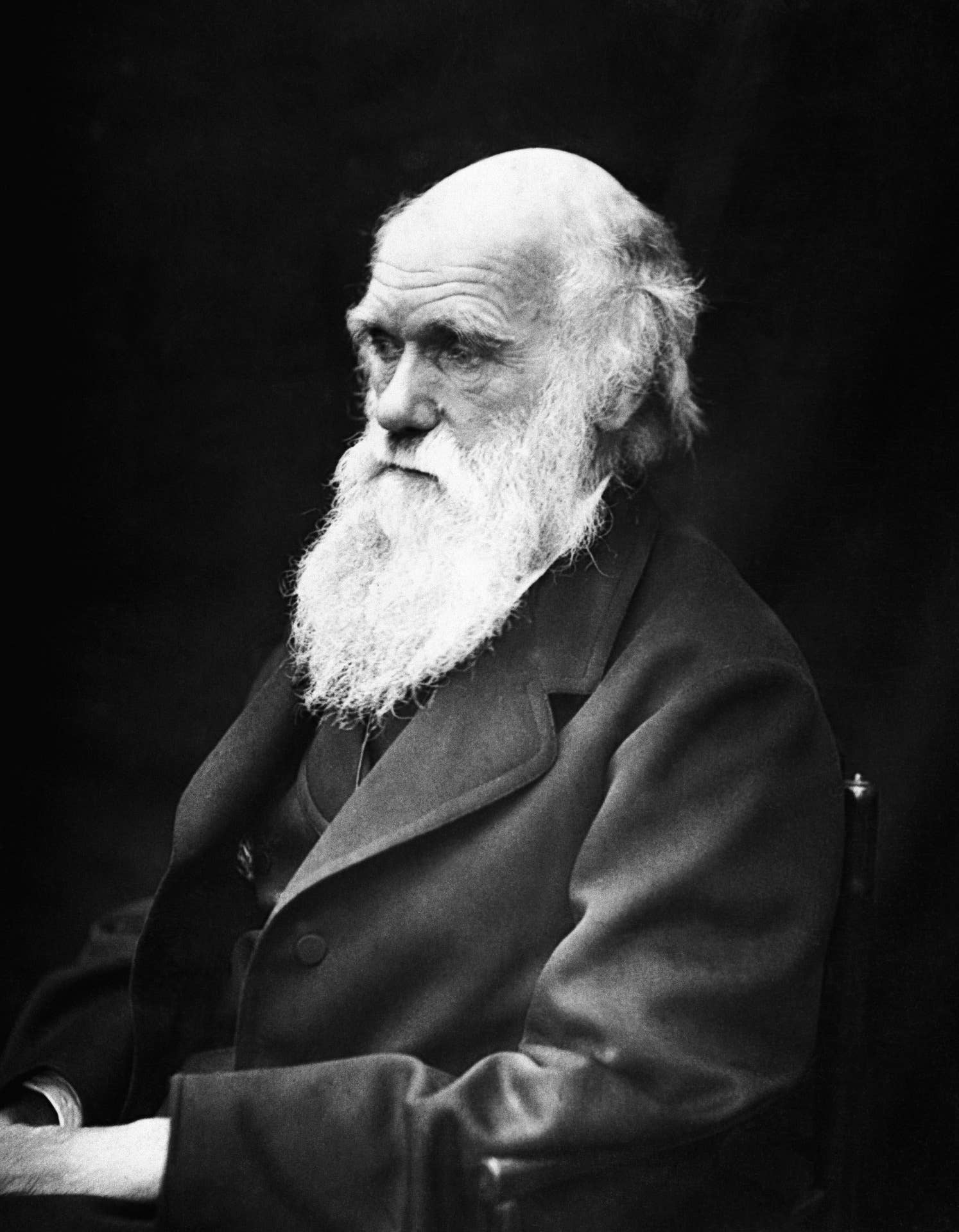 What Is Darwin Day and Why Is It Celebrated? - Owlcation