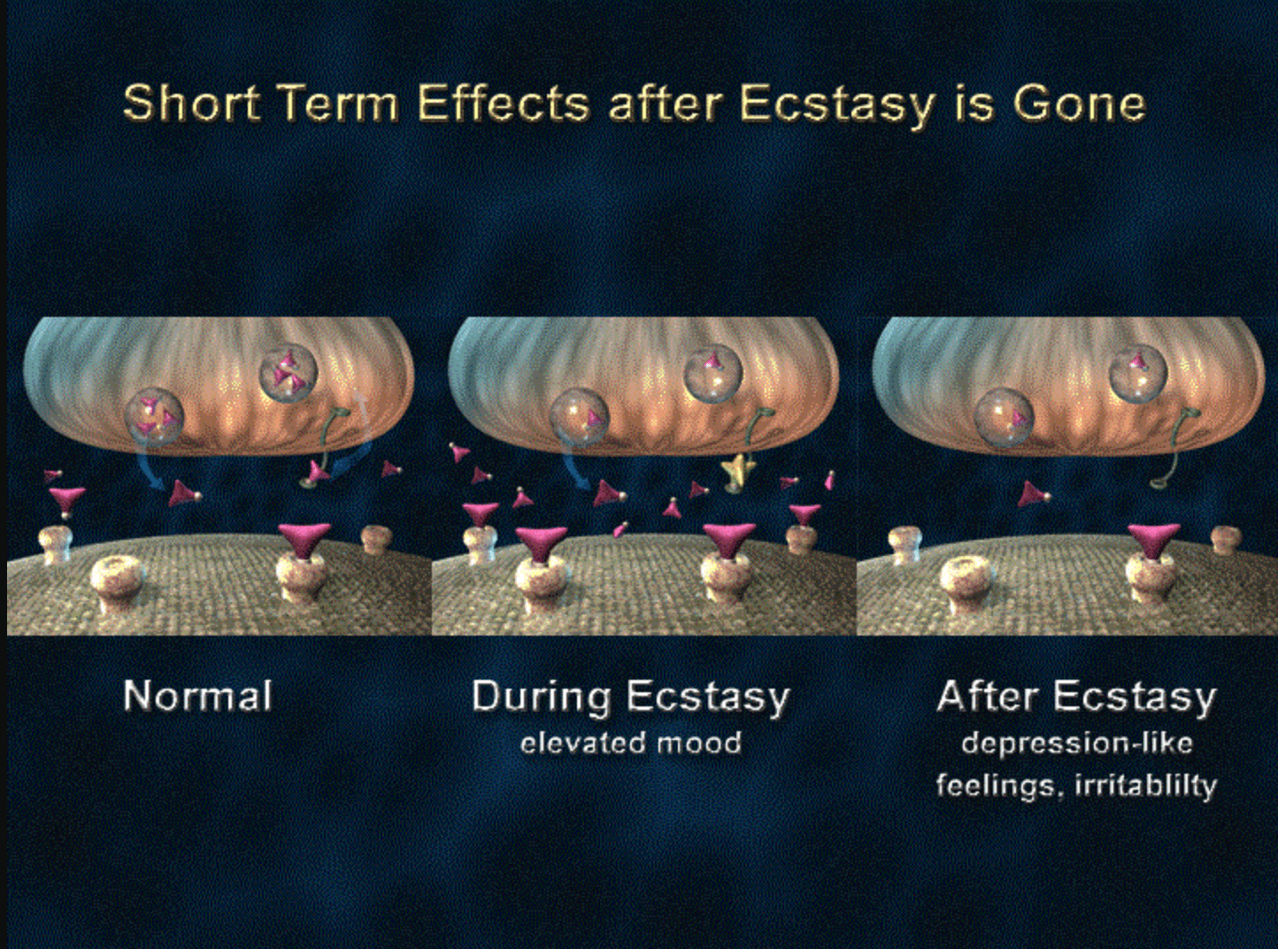 The Psychology of MDMA: Why Does It Feel So Magical? - Owlcation