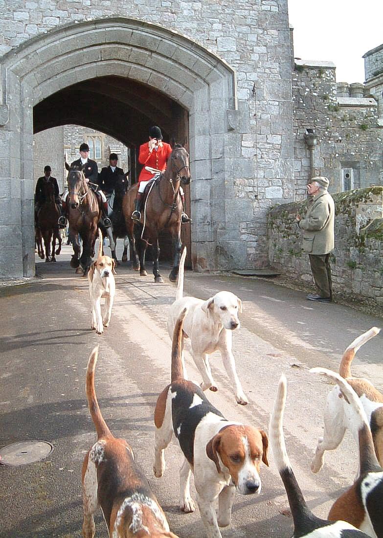 A Red Herring and a Fine Kettle of Fish: Idioms and History - Owlcation