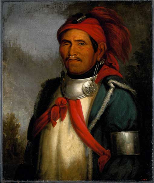 Fallen Star: Tecumseh, the Great Shawnee War Chief - Owlcation