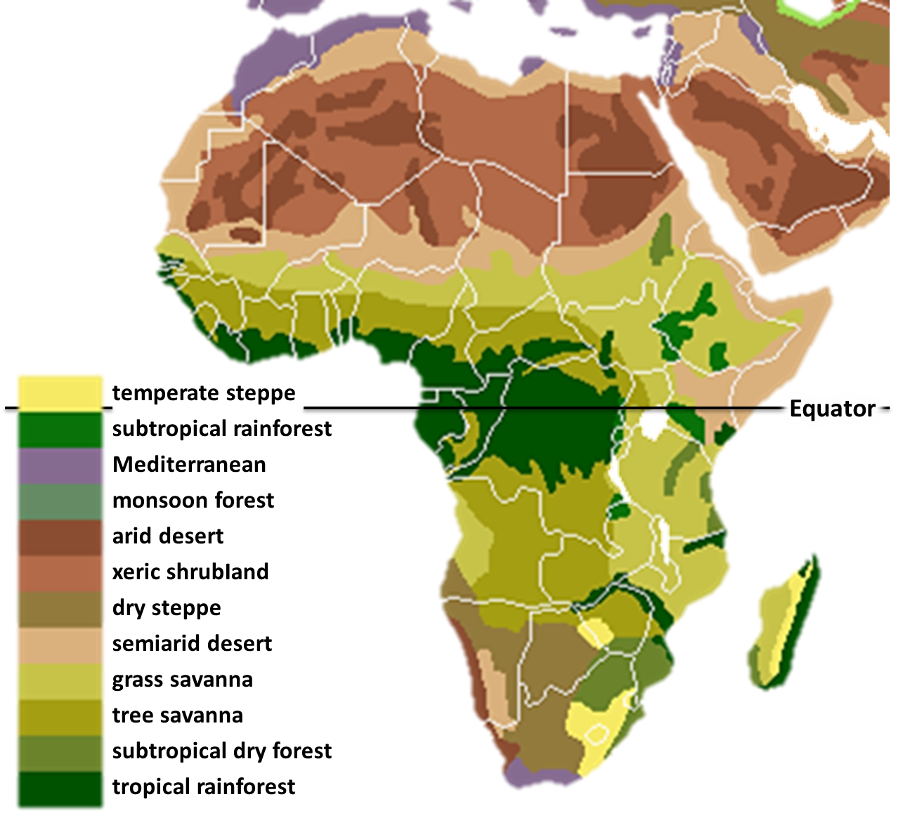 40 African Civet Facts: Body Features, Life, and Behavior - Owlcation