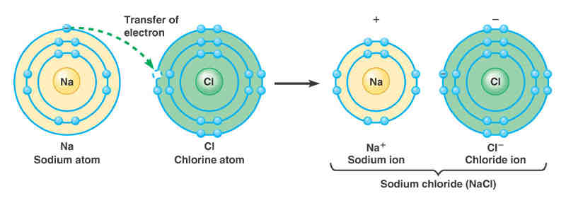 Chemical Bonding: How Do Atoms Combine? What Forces Bind Atoms Together ...
