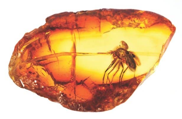 10 Words With Interesting Etymologies - Owlcation