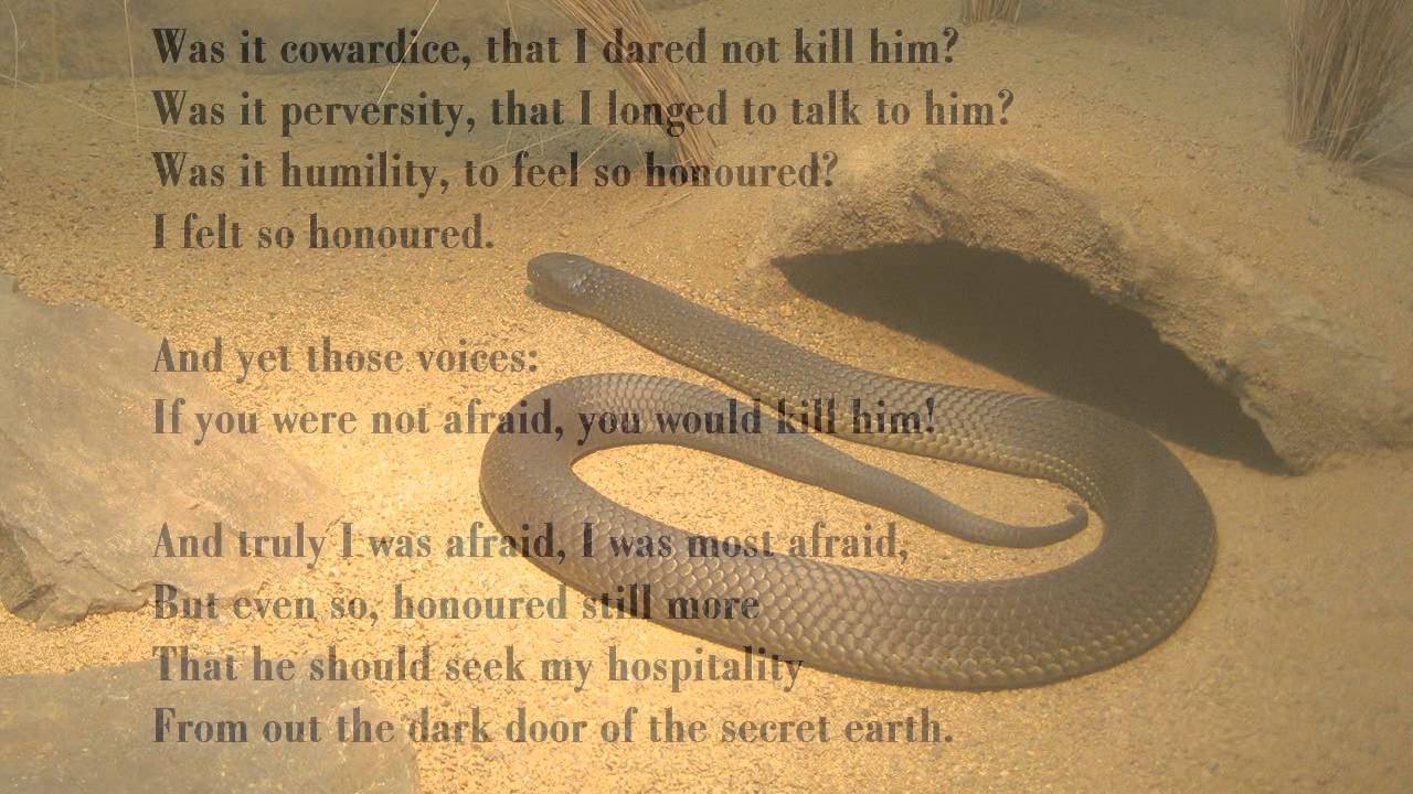 "Snake" by D. H. Lawrence: Thematic Analysis and Devices - Owlcation