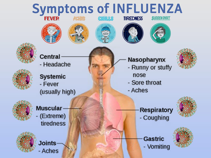 The Epidemiology of Influenza - Owlcation