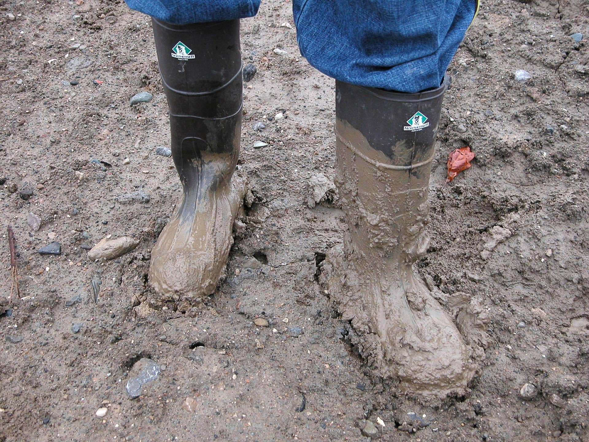 Mud of the Earth: Composition, Dangers, and Interesting Uses - Owlcation