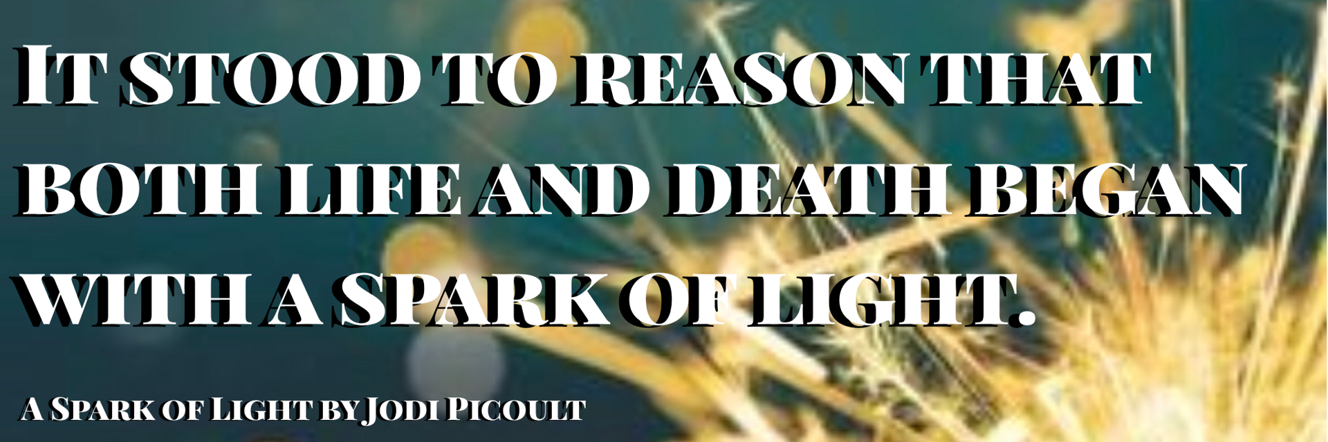 Book Review: "A Spark of Light" by Jodi Picoult (Spoiler-Free!) - Owlcation