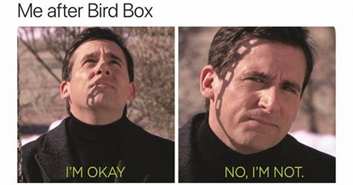 "Bird Box" Book Review - Owlcation