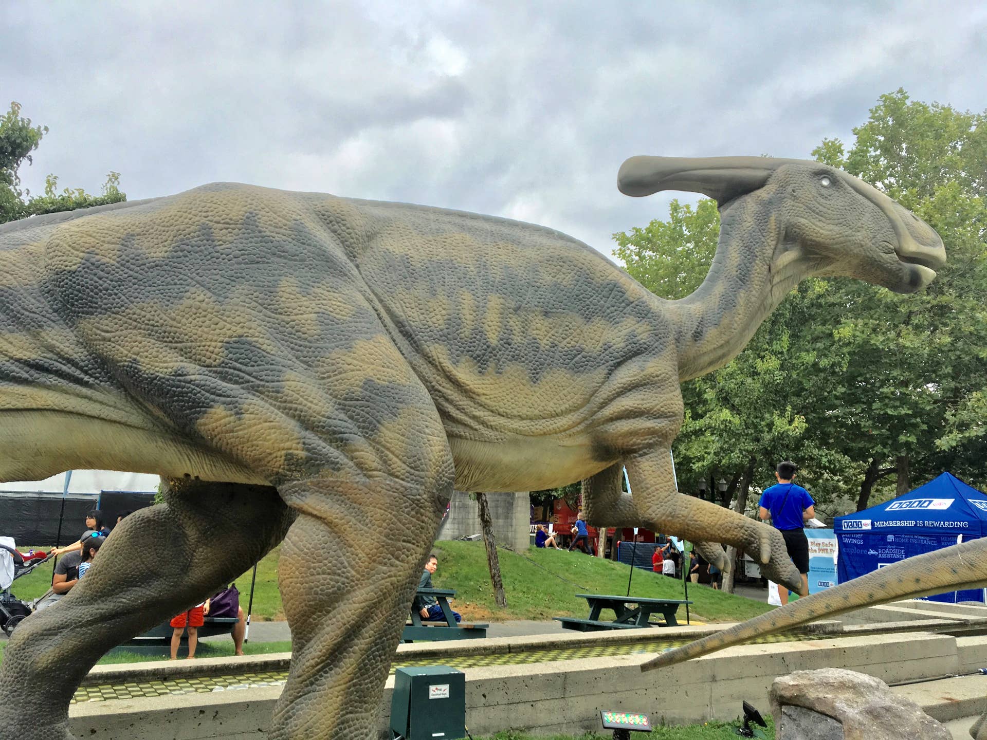 Animatronic Dinosaurs and Facts About the Real Reptiles - Owlcation