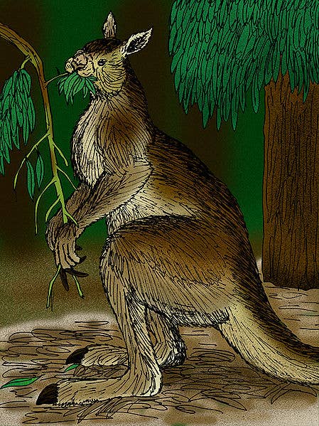 The Australian Megafauna - Owlcation