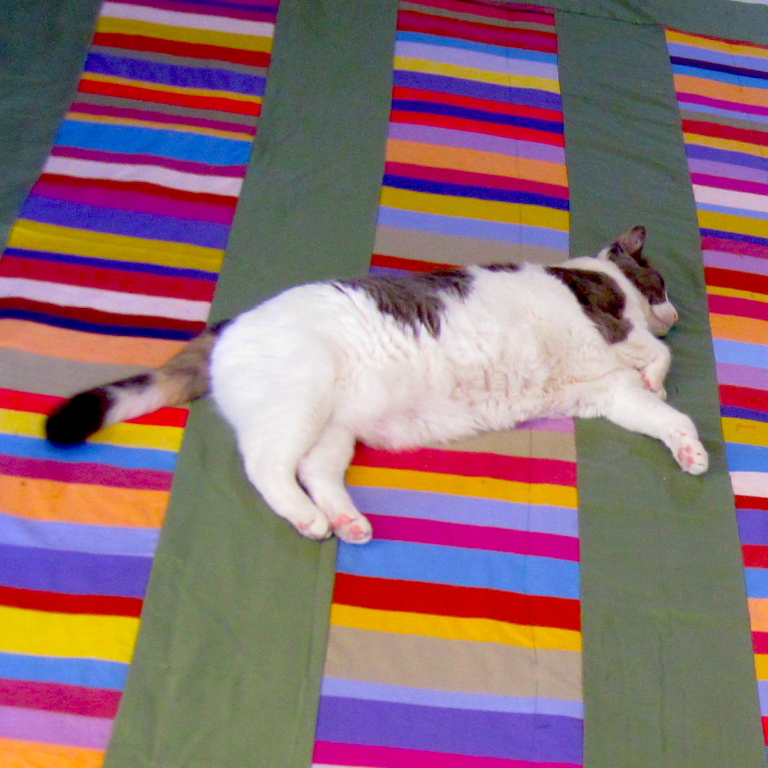 How to Align Images in CSS and HTML - Owlcation