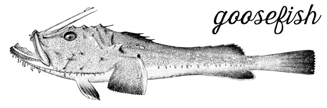 List of Ocean Animals: A Through Z - Owlcation