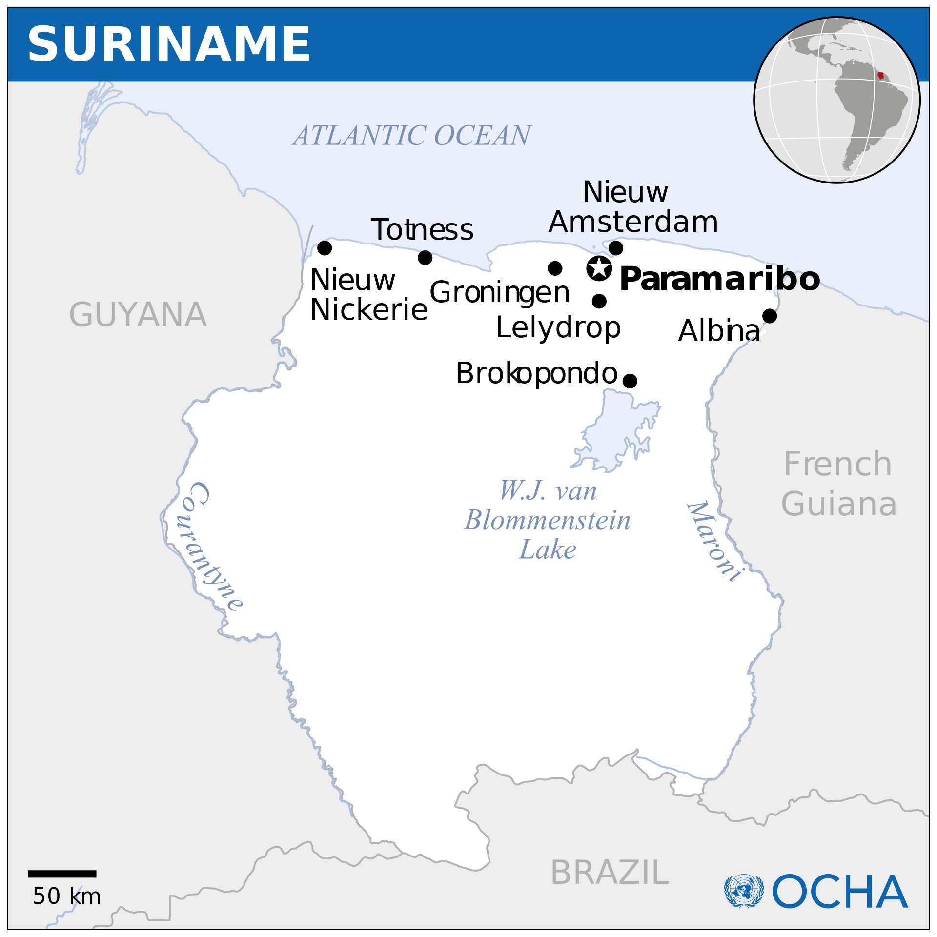 The Surinam Toad: A Strange Amphibian With Unusual Egg Care - Owlcation