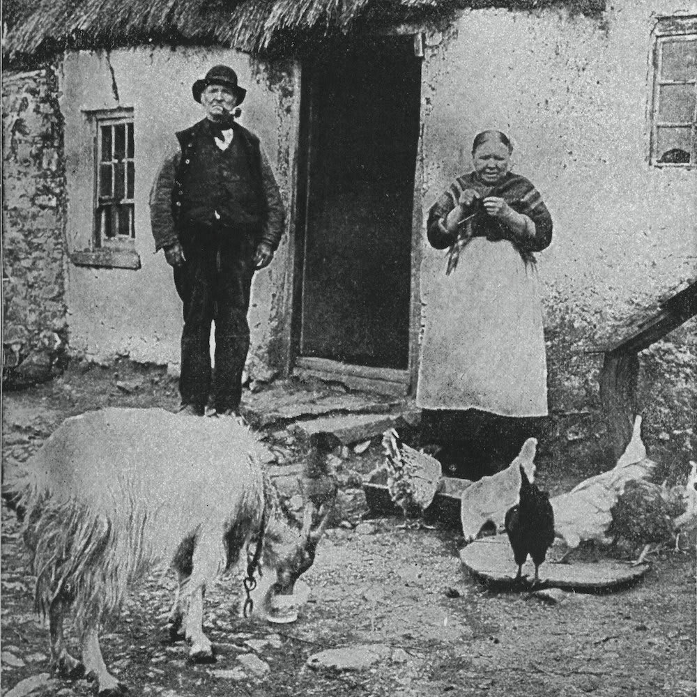 The Irish Diaspora: The Role of Famine and Political Crises - Owlcation