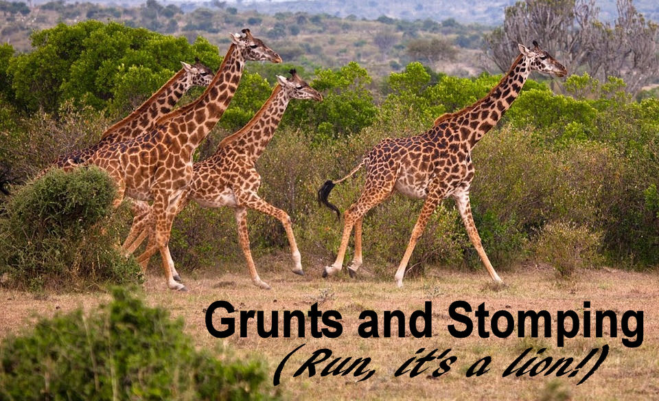 12 Sounds Giraffes Make - Owlcation
