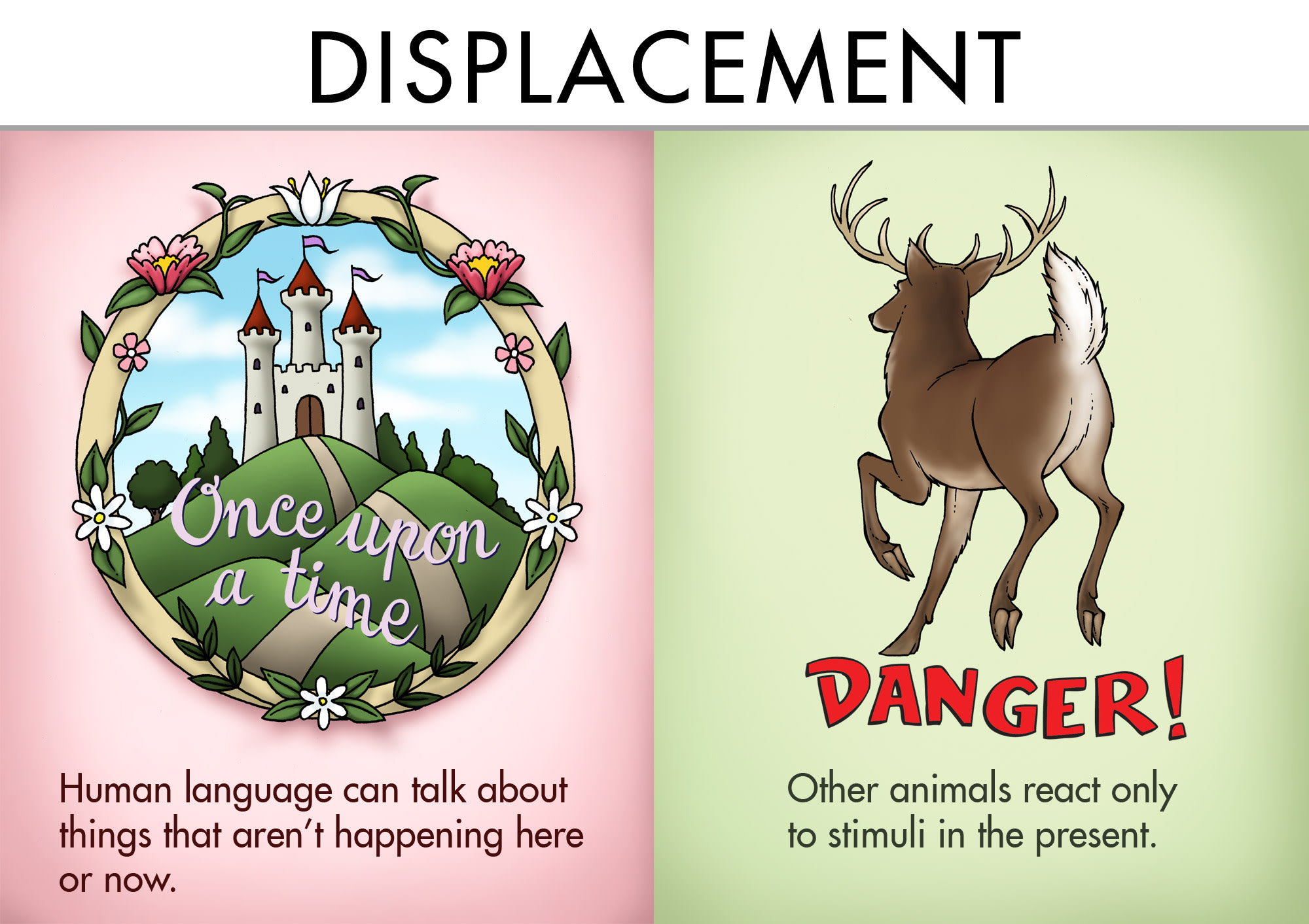 Differences Between Animal and Human Communication - Owlcation