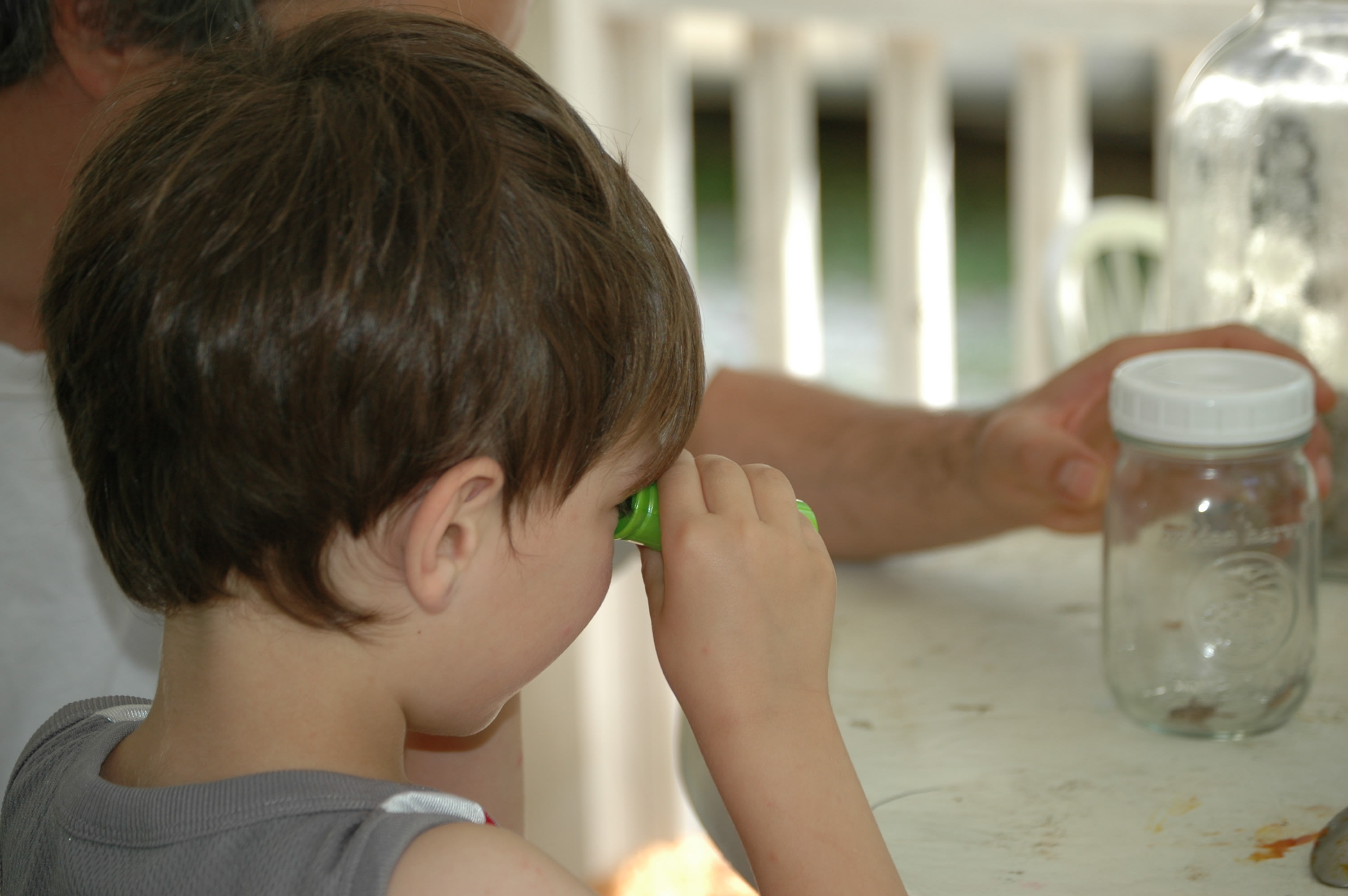 4 Fun Insect Science Projects for Kids - Owlcation