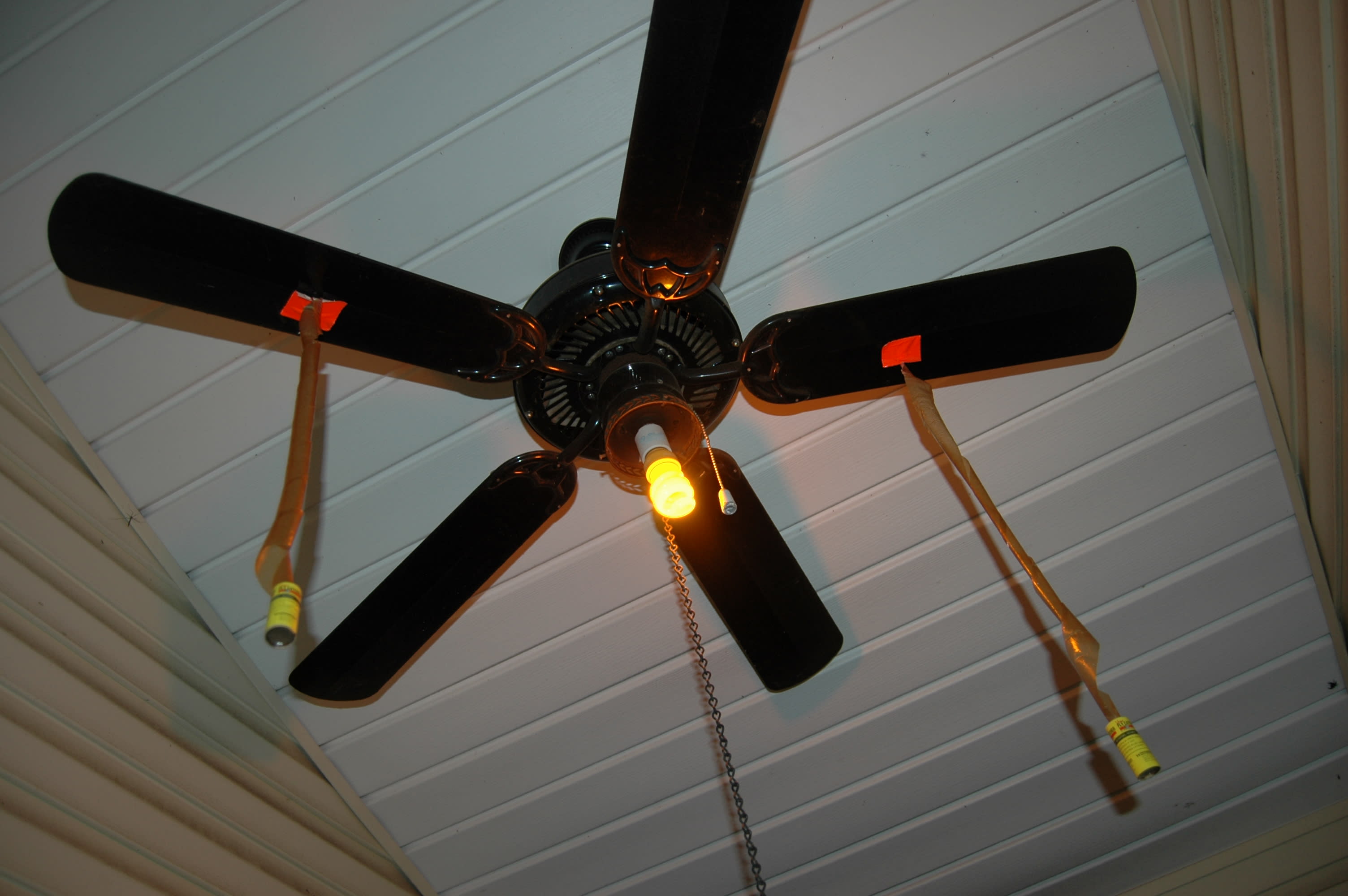 4 Fun Insect Science Projects for Kids - Owlcation