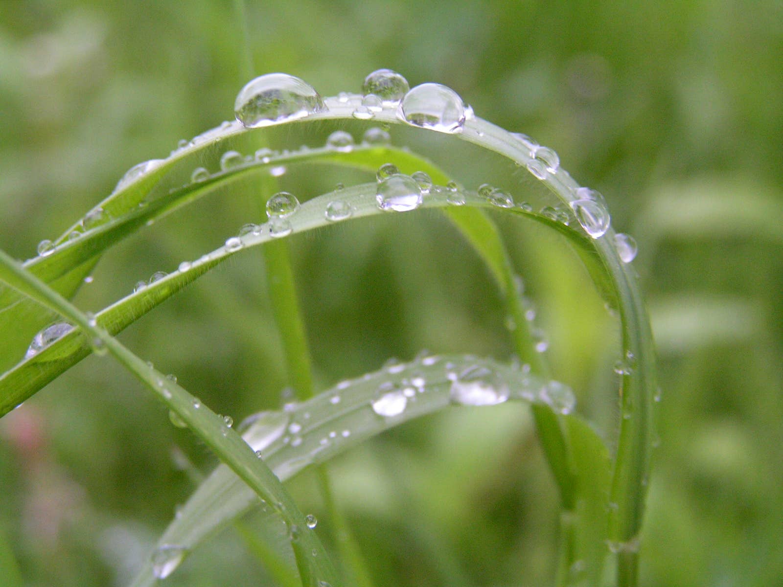 How to Use the Outdoors to Teach Science - Owlcation