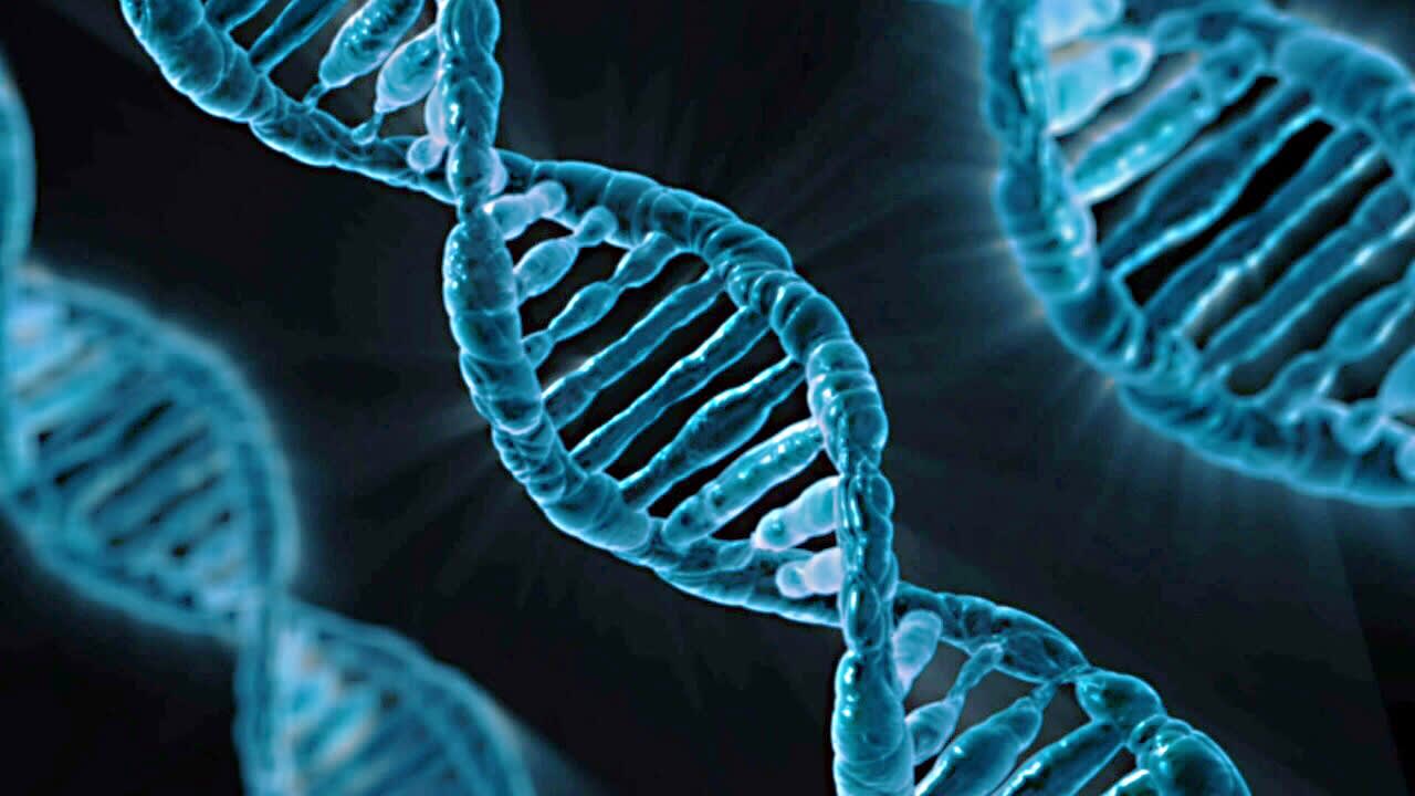 How to Study Biology: Tips From a High School Teacher - Owlcation