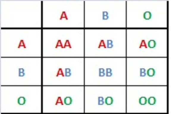 Blood Types: History, Genetics, and Percentages Around the World ...