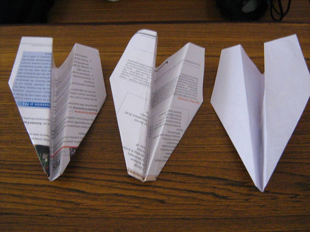 Evolution Lesson Plan/Activity for Middle School - Owlcation