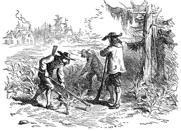 How the Motivations of the Colonists Impacted Colonial Life - Owlcation
