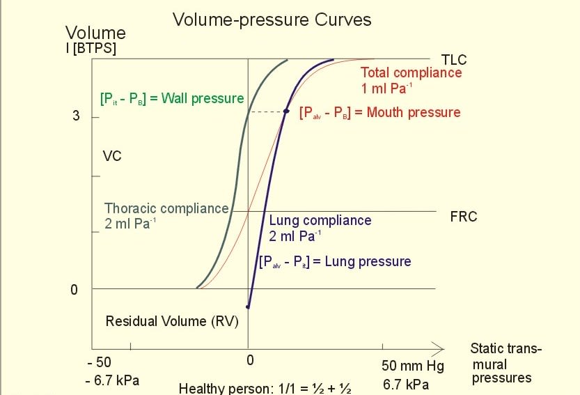 Lung Pressures and Lung Compliance - Owlcation