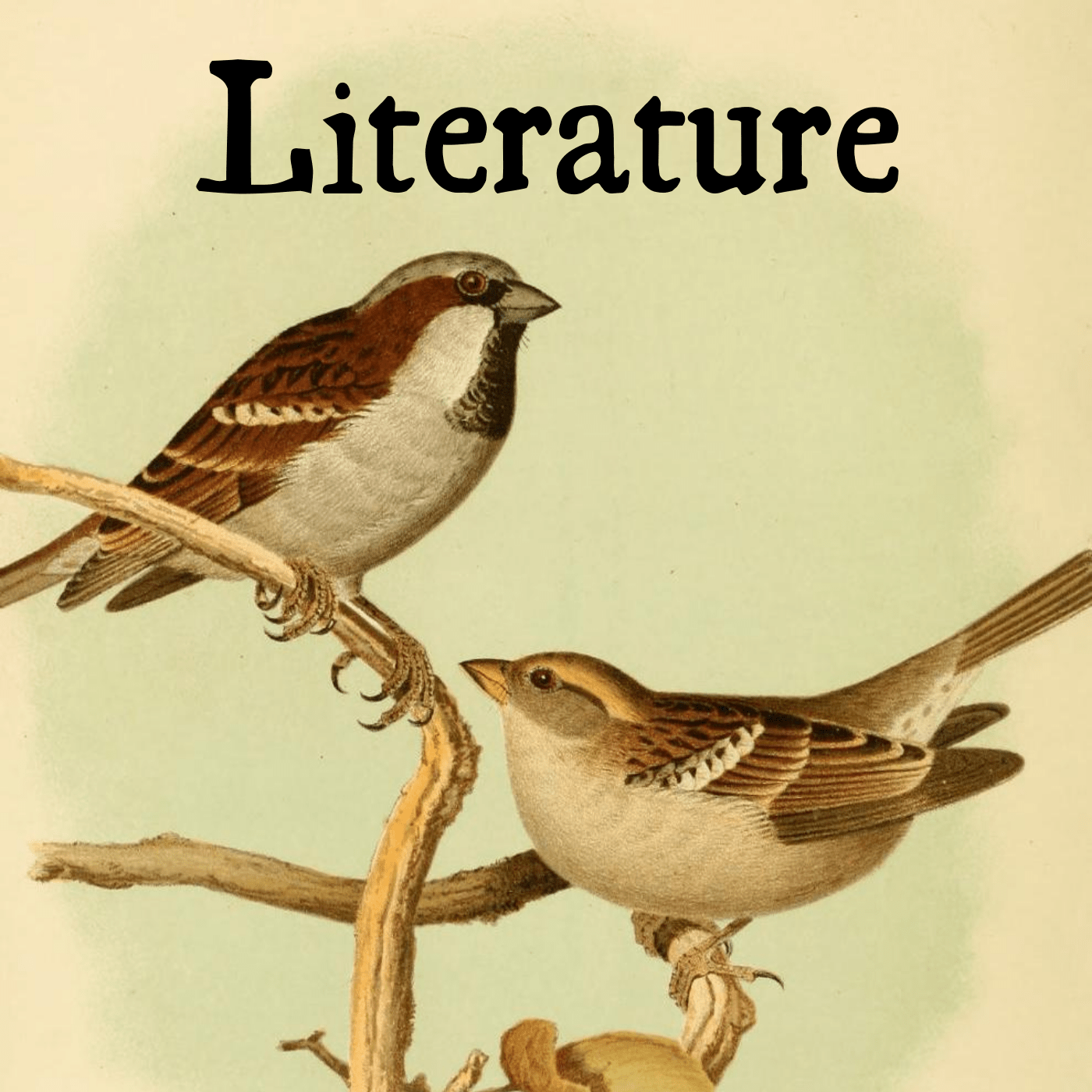 The Meaning of Sparrows: Symbolism and Identification - Owlcation